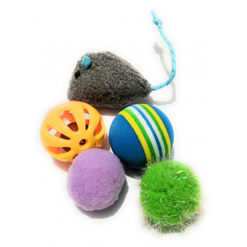 5 jouets d'éveil différents pour chaton